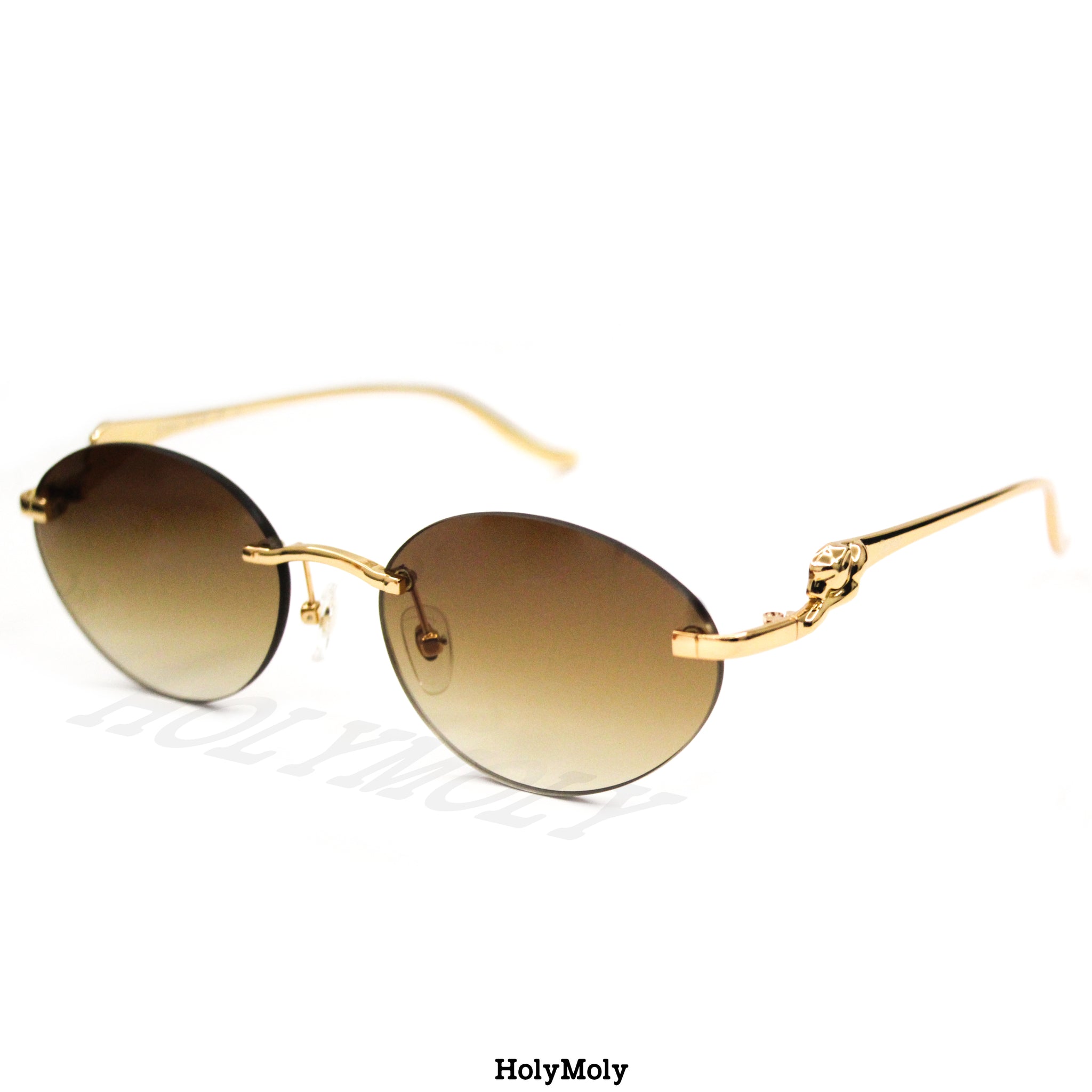 Cartier CT0504S Sunglasses || HolyMoly