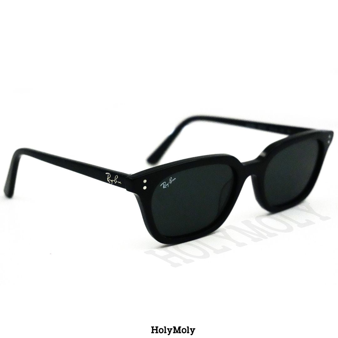 RB4456 Zaya Bio-Based Sunglasses || HolyMoly